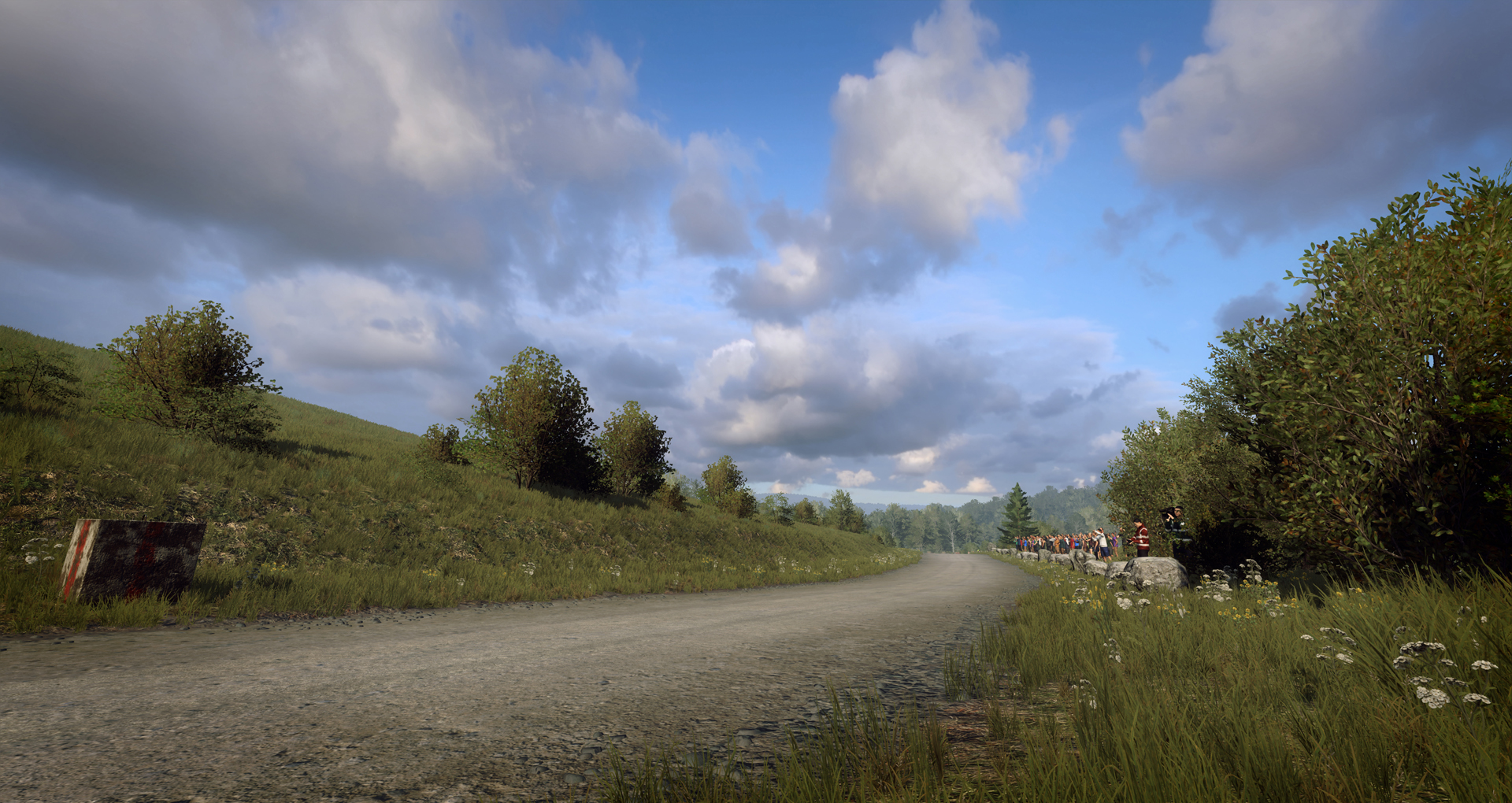 DiRT Rally 2.0 - Germany (Rally Location) on Steam