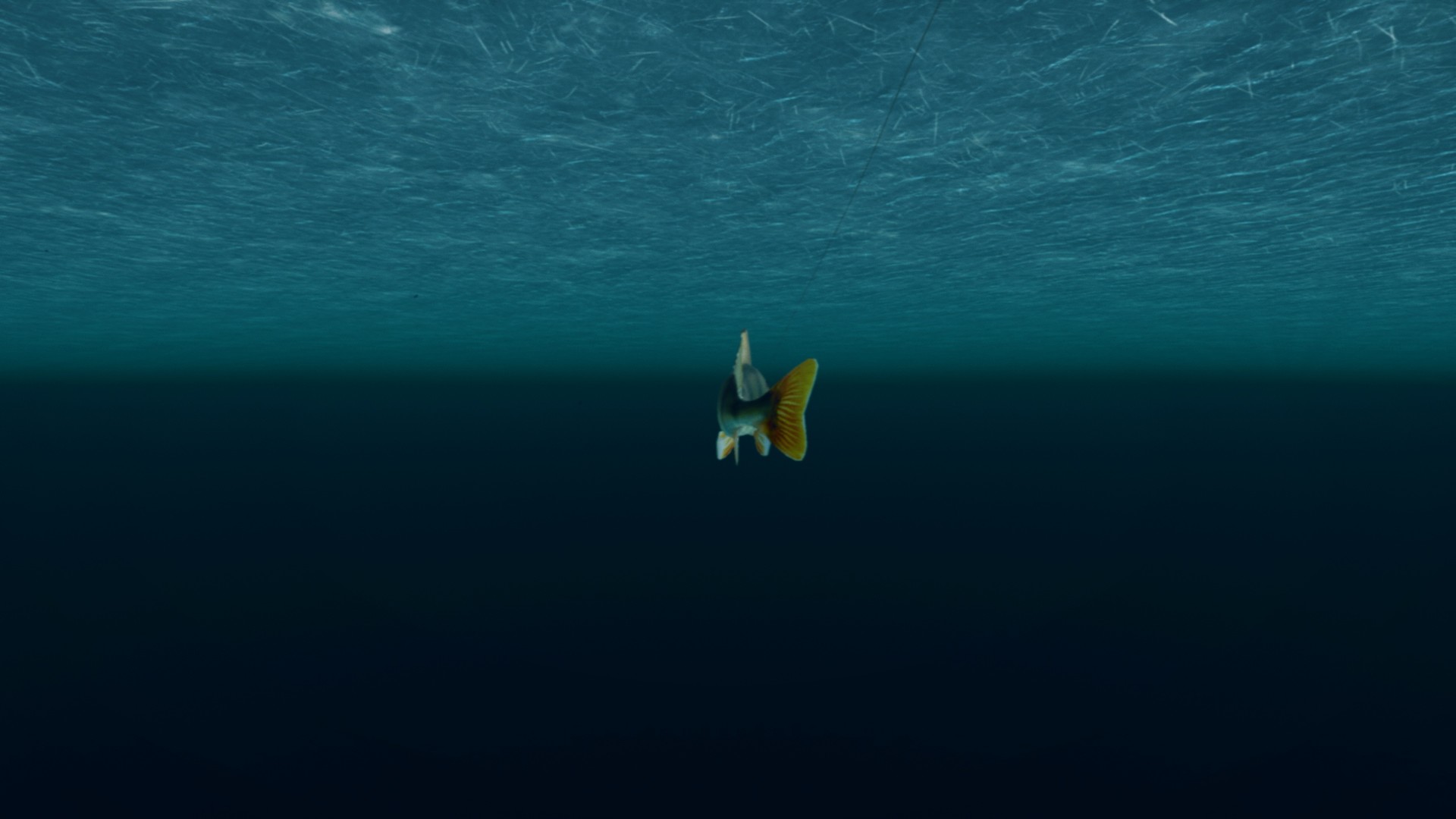 Ultimate Fishing Simulator VR on Steam