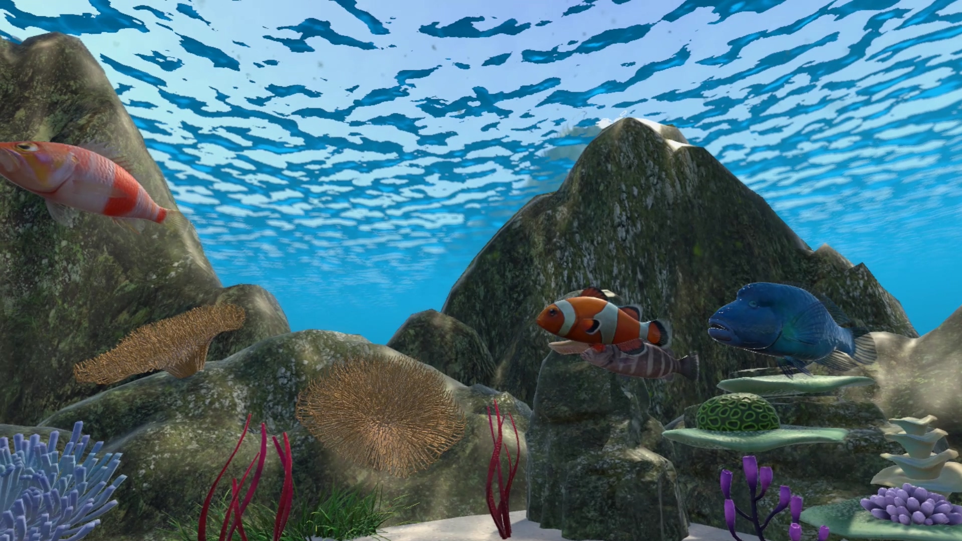 Real Fishing VR on Steam