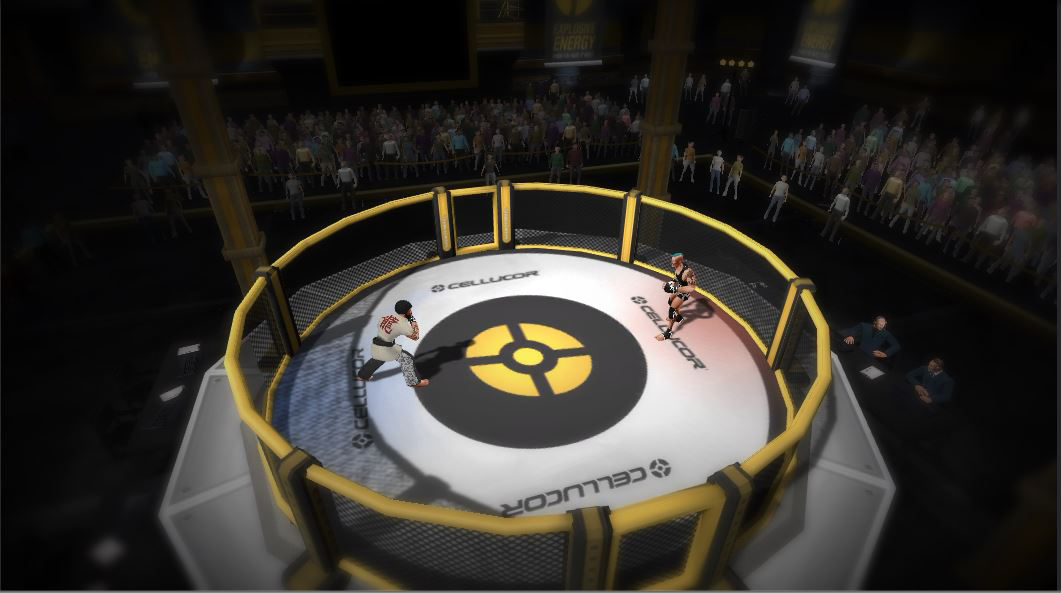 MMA Arena on Steam