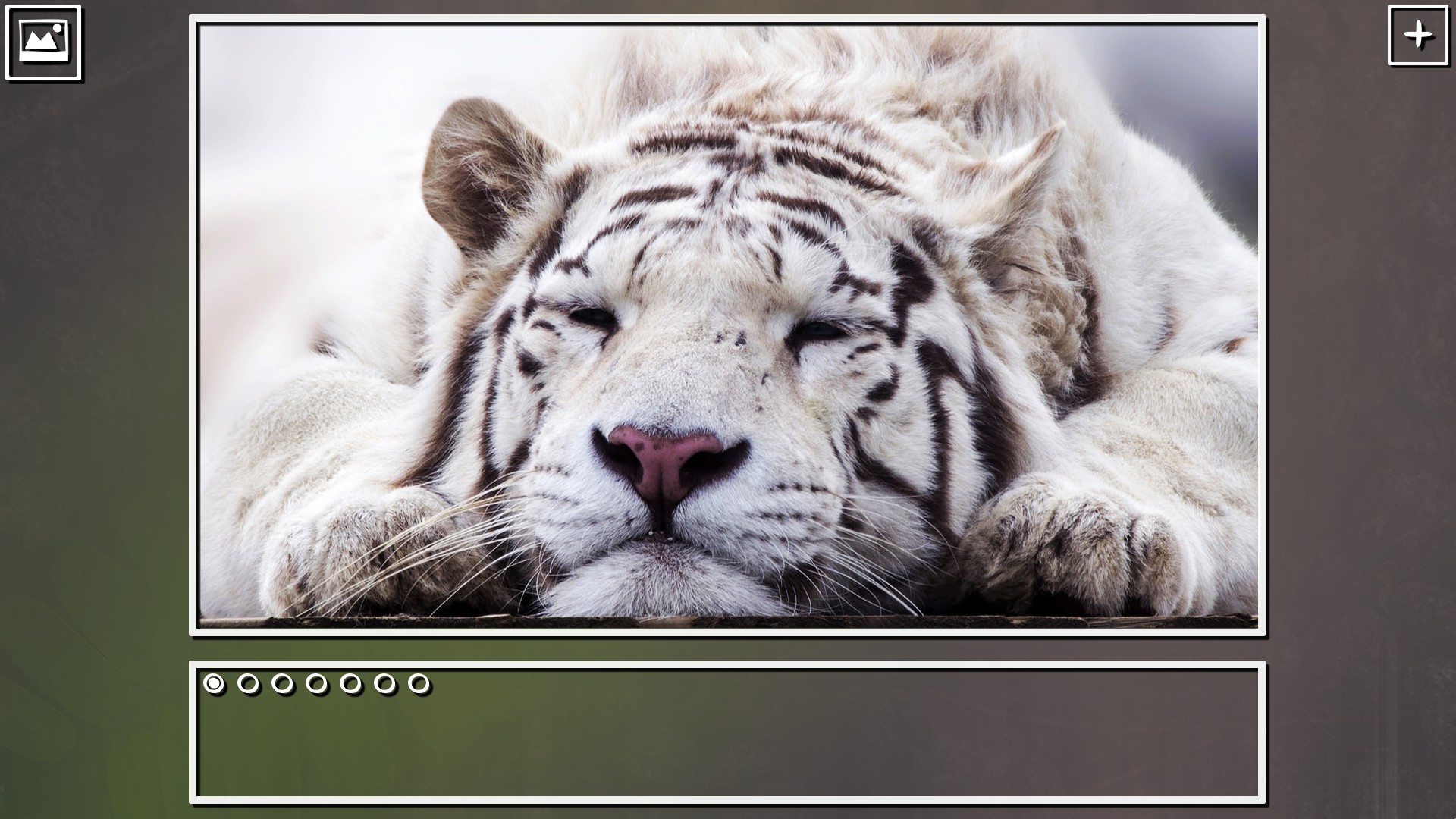 Super Jigsaw Puzzle: Generations - Big Cats Puzzles on Steam