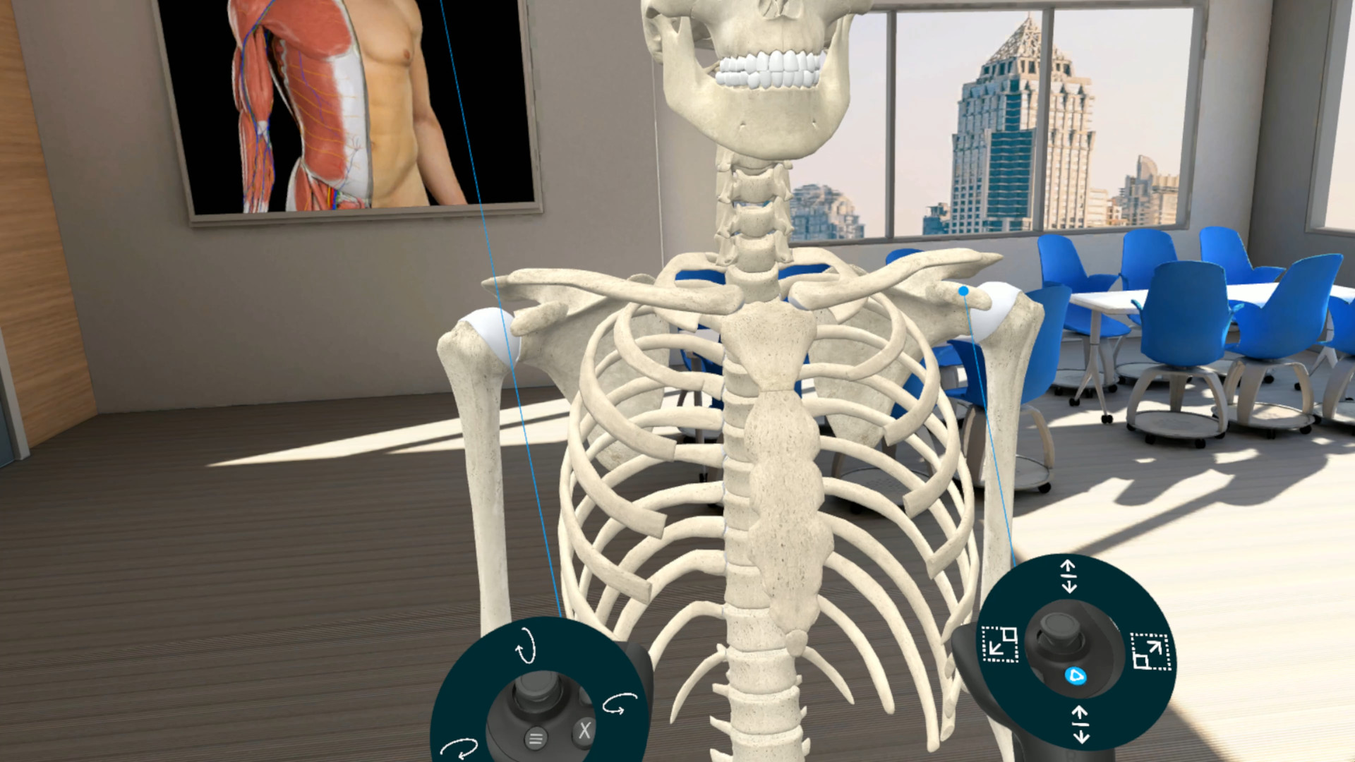3D Organon VR Anatomy en Steam