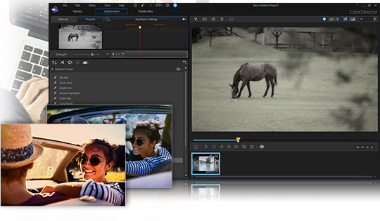 CyberLink ColorDirector 8 Ultra · 스팀