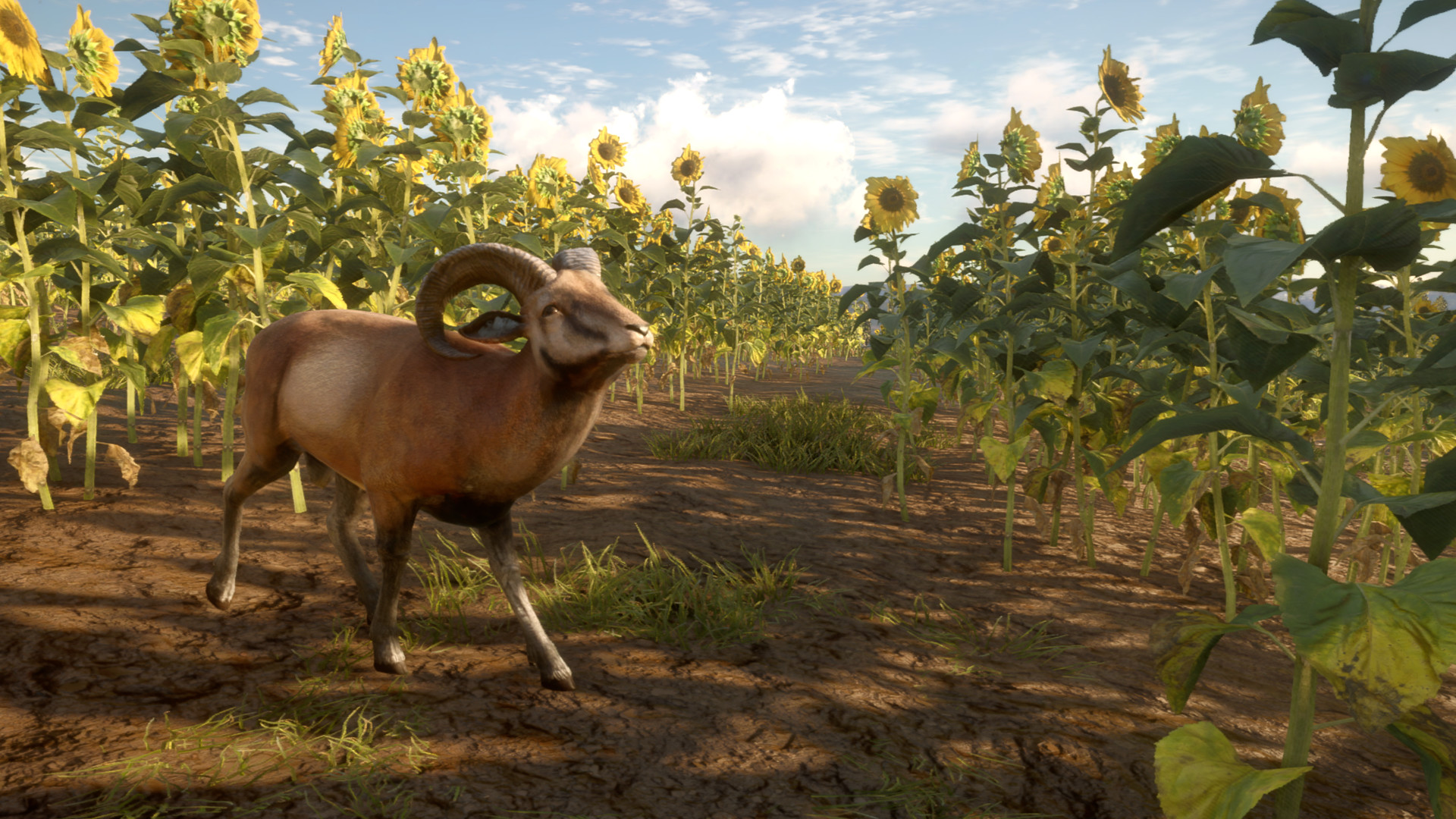 theHunter: Call of the Wild™ - Cuatro Colinas Game Reserve en Steam