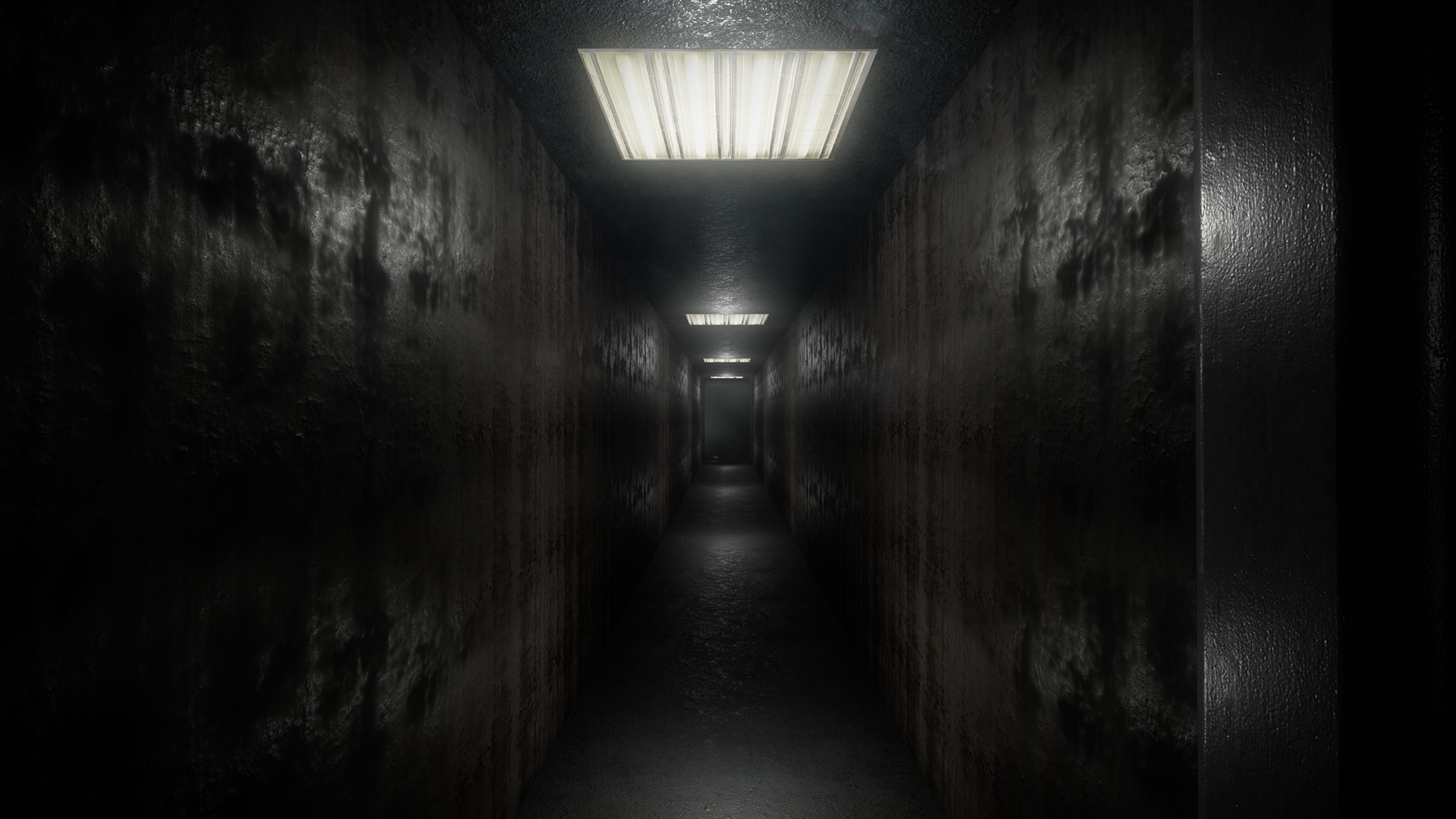 Gridberd: Playtime, scores and collections on Steam Backlog