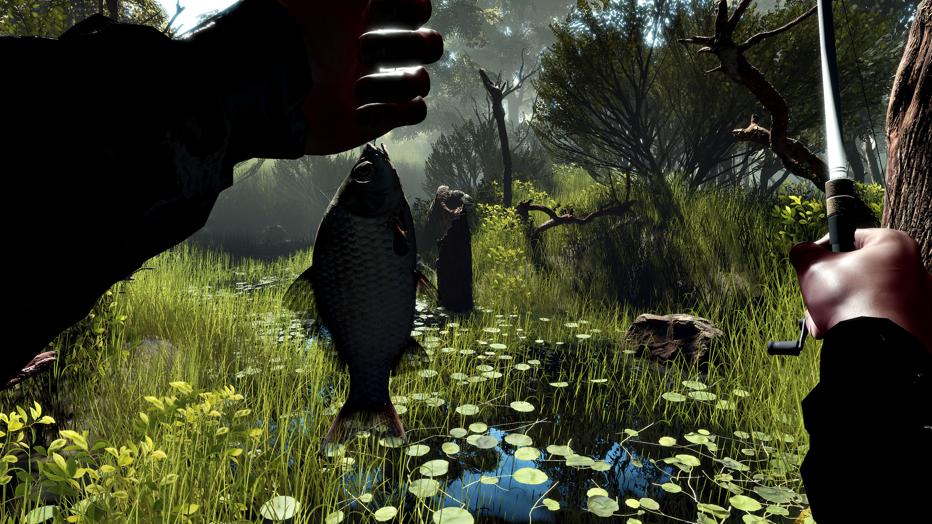 Professional Fishing on Steam