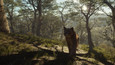 theHunter™: Call of the Wild - Parque Fernando on Steam